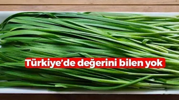 Türkiye'de değer görmüyor ama ABD'de ve Avrupa'da kapış kapış satılıyor ...