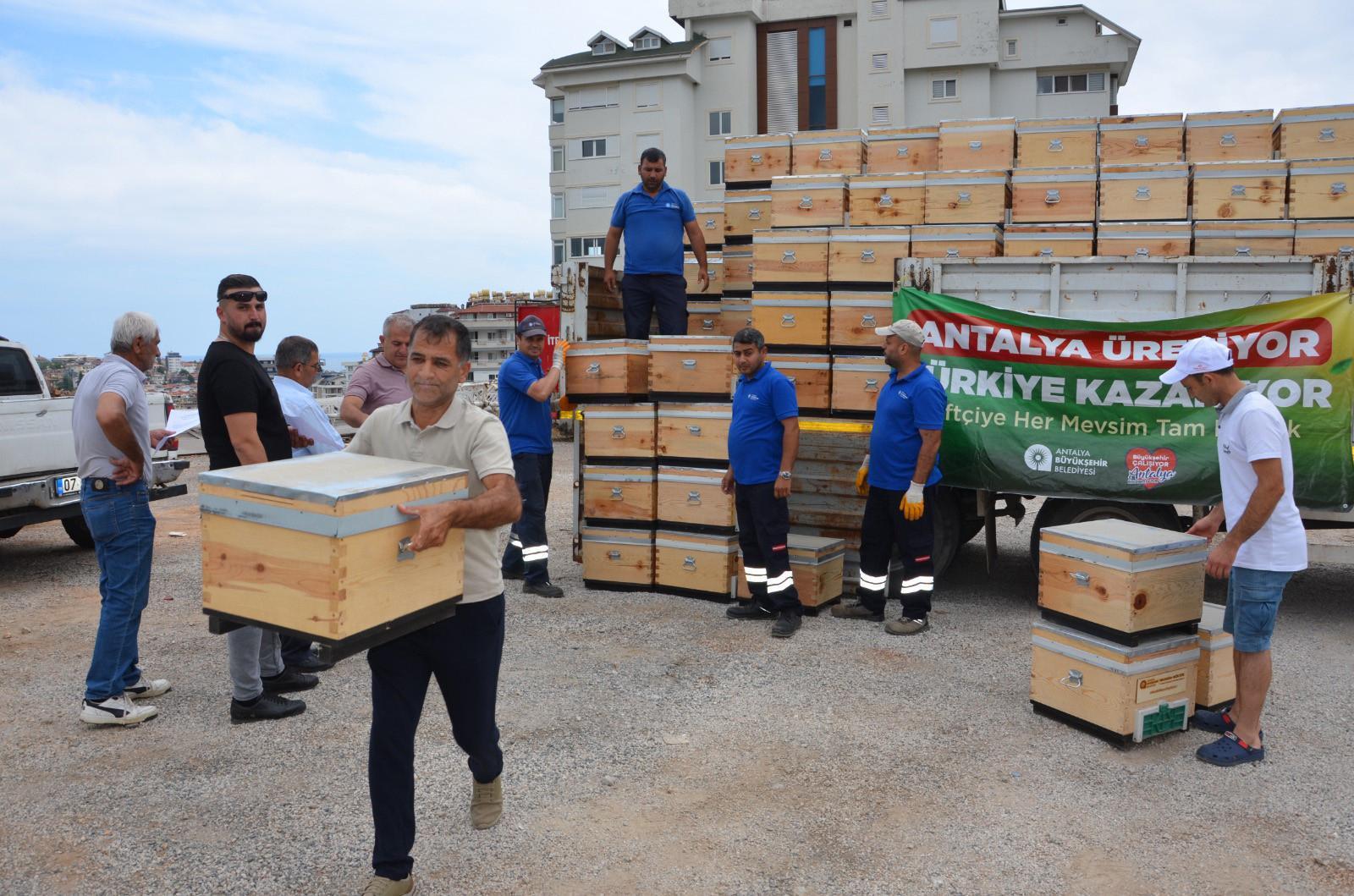 Büyükşehir’den Antalya’nın dört bir yanına arı kovanı desteği - Antalya ...
