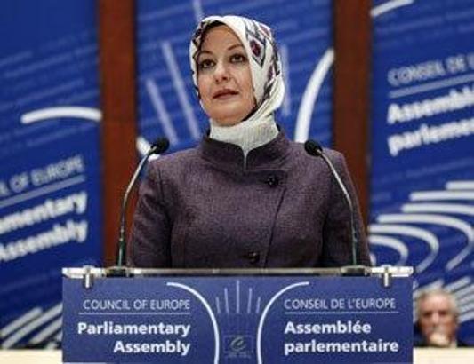 Hayrunnisa Gül Avrupa Konseyi'nde
