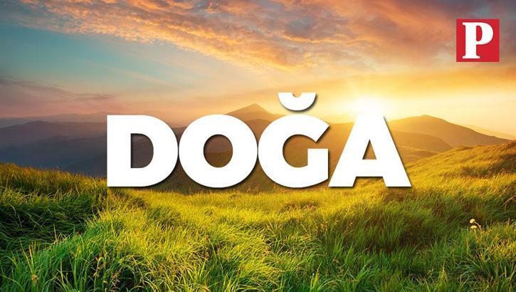 Doğa eş anlamlısı nedir? Doğa kelimesinin eş anlamlısı kelimeler ...