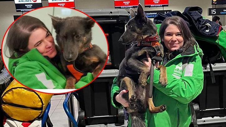 Macar sözcünün kızı Hatay'da! Köpeğiyle kurtarma çalışmalarına katıldı ...