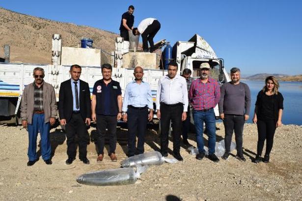 Batman'da baraj gölü ve çaya 2 milyon 609 bin balık yavrusu bırakıldı ...