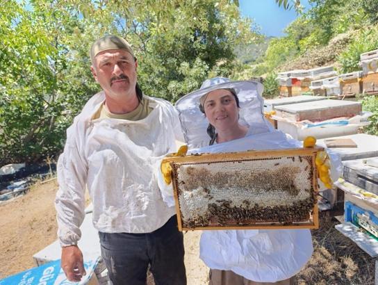 Bal gibi sezon! Arıcıların yüzünü güldürdü - Gündem Haberleri