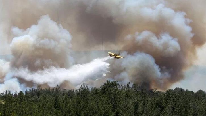 Mersin ve Çanakkale'de orman yangını! Rüzgarın etkisiyle büyüyor ...