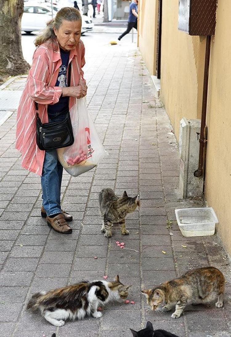 Panter Emel: İnsan türünün yeryüzünden silinmesini iştahla bekliyorum
