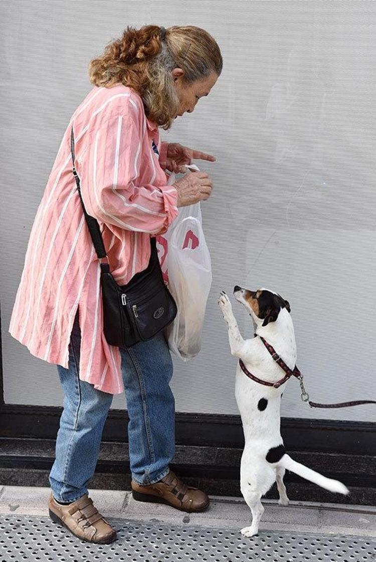 Panter Emel: İnsan türünün yeryüzünden silinmesini iştahla bekliyorum