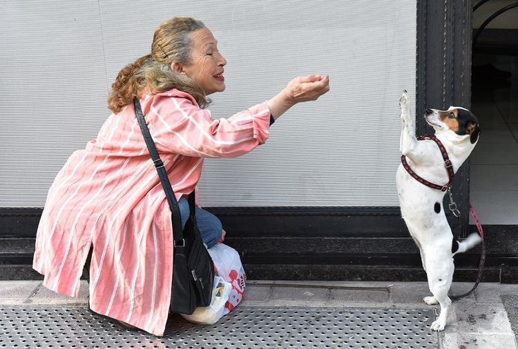 Panter Emel: İnsan türünün yeryüzünden silinmesini iştahla bekliyorum