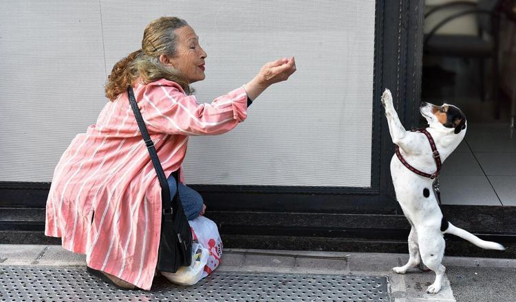 Panter Emel: İnsan türünün yeryüzünden silinmesini iştahla bekliyorum