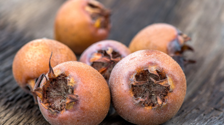 Muşmulanın faydaları nelerdir? Muşmula hangi hastalıklara iyi gelir ...