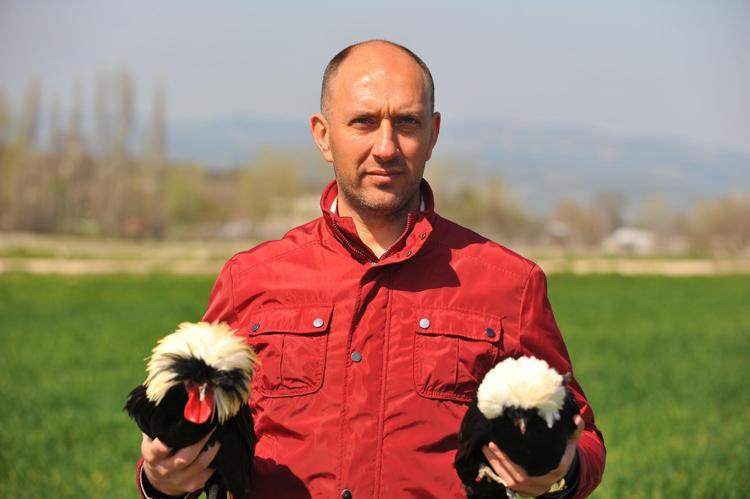 'Rahibe fizan' tavuk cinsi, ilginç görünümüyle dikkat çekiyor - Gündem ...