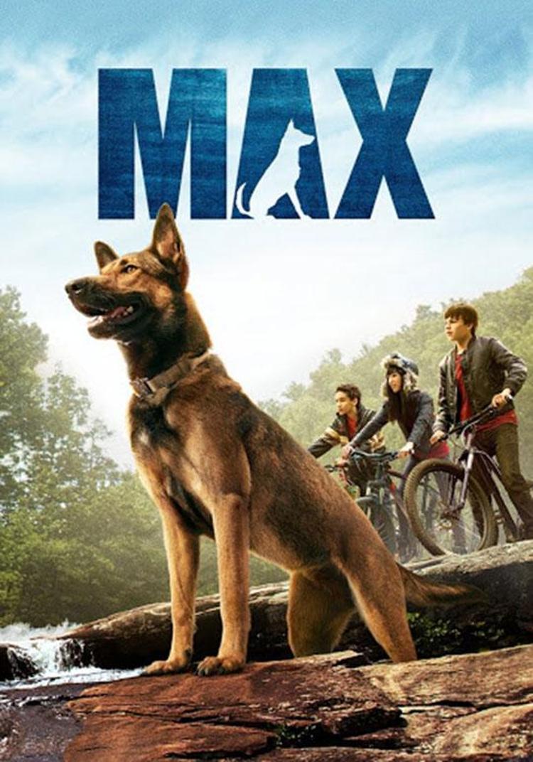 En iyi ve güzel en iyi köpek filmleri! 2022'de izlenmesi gereken en iyi ...