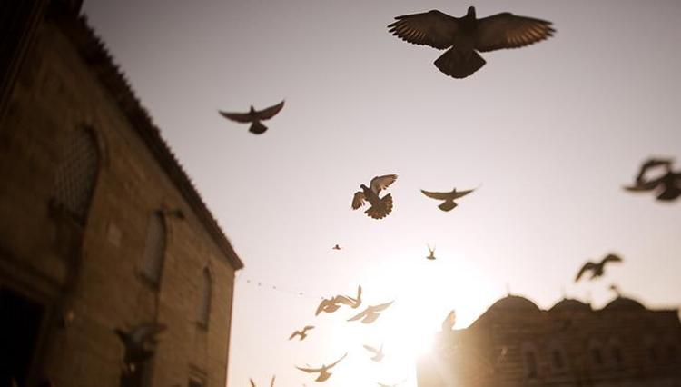 Miraç olayı ile ilgili ayetler ve hadisler var mı? Miraç olayı Kuran’da ... Miraç olayı ile ilgili ayetler ve hadisler var mı? Miraç olayı Kuran’da ...