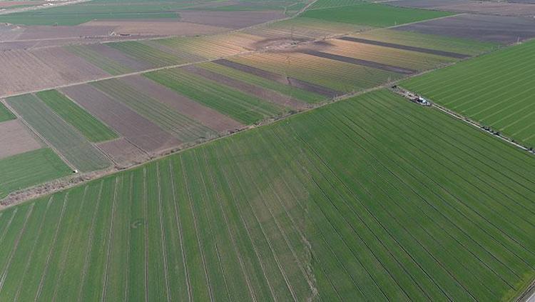 Ne dağ kaldı ne tarla! Depremin dehşeti böyle görüntülendi - Gündem ...