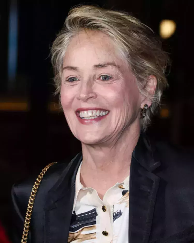 Sharon Stone: Rol arkadaşıma göre çok az kazandım - Son Dakika Magazin ...