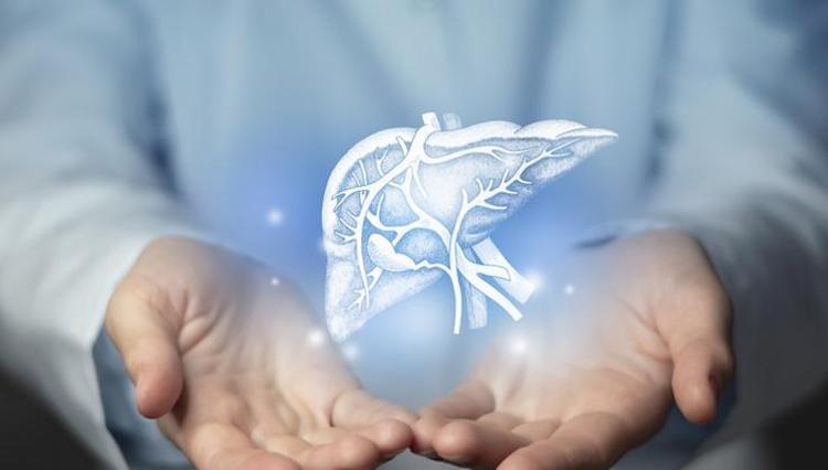 SİROZ NEDİR BELİRTİLERİ NELERDİR? Ufuk Özkan’ın hastalığı siroz neden ...