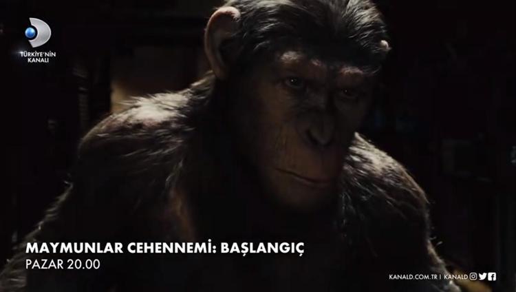 Maymunlar Cehennemi: Başlangıç konusu nedir, oyuncuları kimler? - Son ...