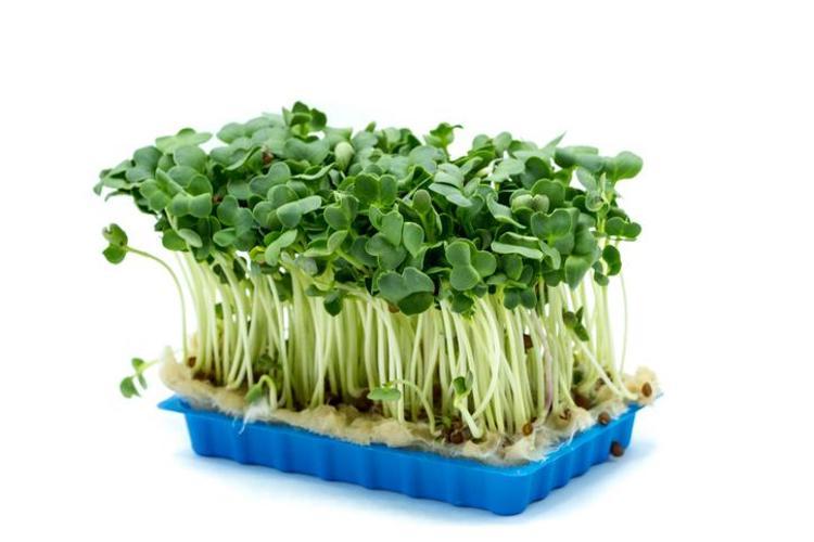 Balla karıştırıldığında kötü kolesterolü azaltıyor! A, C, k vitaminleri ...