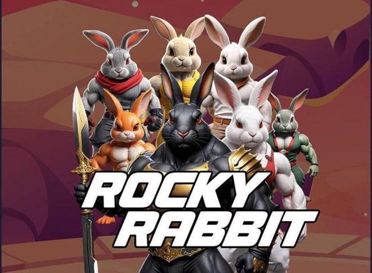 Rocky Rabbit 19 Temmuz şifresi! Rocky Rabbit nasıl oynanır, 19 Temmuz ...