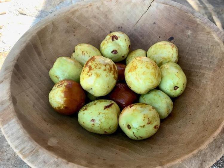 Japonlar avuç avuç yiyor! Türkiye'de yetişiyor: Kilosu 80 lira, vücuda ...