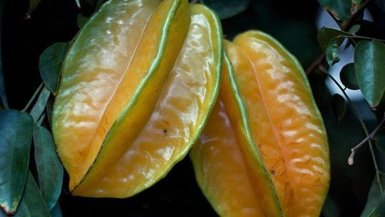 C vitamininde limonu sollayan tek meyve! Tanesi 54 lira: Kalsiyum ...