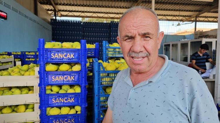 İncirin üstüne kaşık kaşık ekleyin! Aç karnına içlerin ömrü uzuyor ...