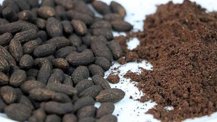 Toz hale getirip tüketin! En güçlü antioksidan kaynağı: Sindirim ...