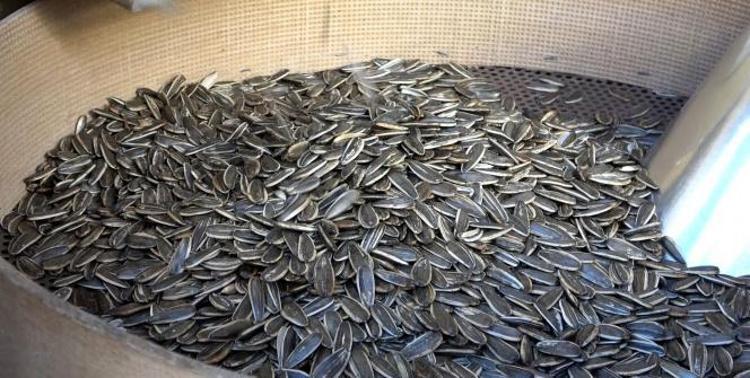 Parazit ve bağırsak kurdunu döküyor! Mide ve bağırsakları çamaşır suyu ...