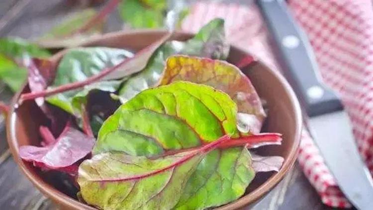 Yol kenarında kendiliğinden yetişiyor! Eski toprakların favorileri ...