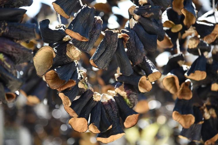 Patlıcan ve biber nasıl kurutulur? Kuru dolma yapmak isteyenler denesin ...