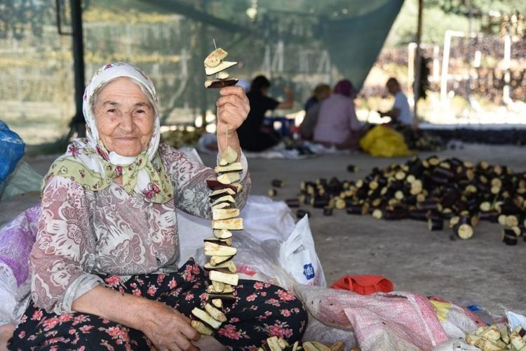 Patlıcan ve biber nasıl kurutulur? Kuru dolma yapmak isteyenler denesin ...