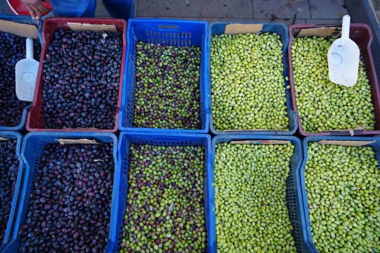 Siyah zeytin mi, yeşil zeytin mi? Hangisinin daha sağlıklı olduğu ...