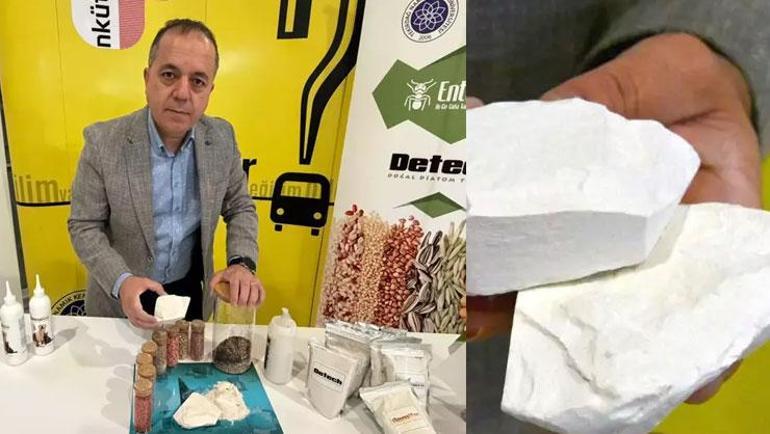 Türk bilim insanları 'fosfin' yerine güvenli ve doğal böcek ilacı ...